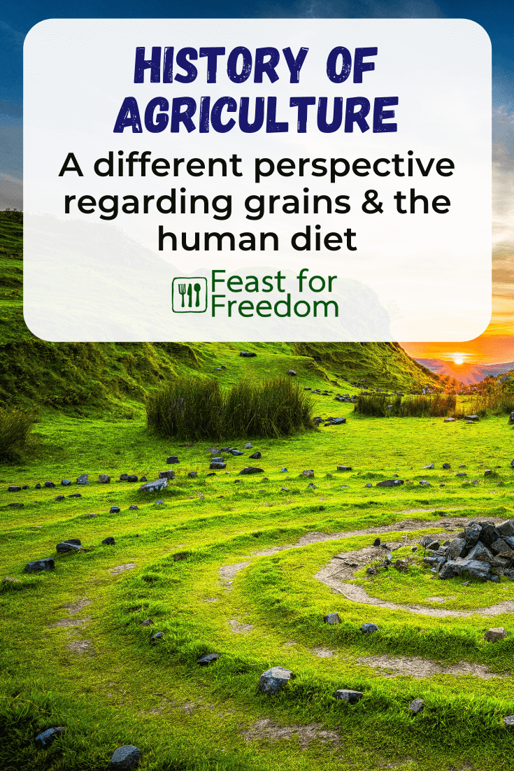 The History of Organized Agriculture - A Different Perspective - Food ...