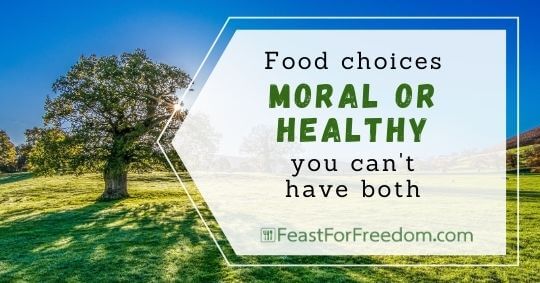Food Choices - Moral or Healthy - You Can't Have Both - Mindset ...
